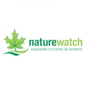 Nature Watch - Take Me Outside