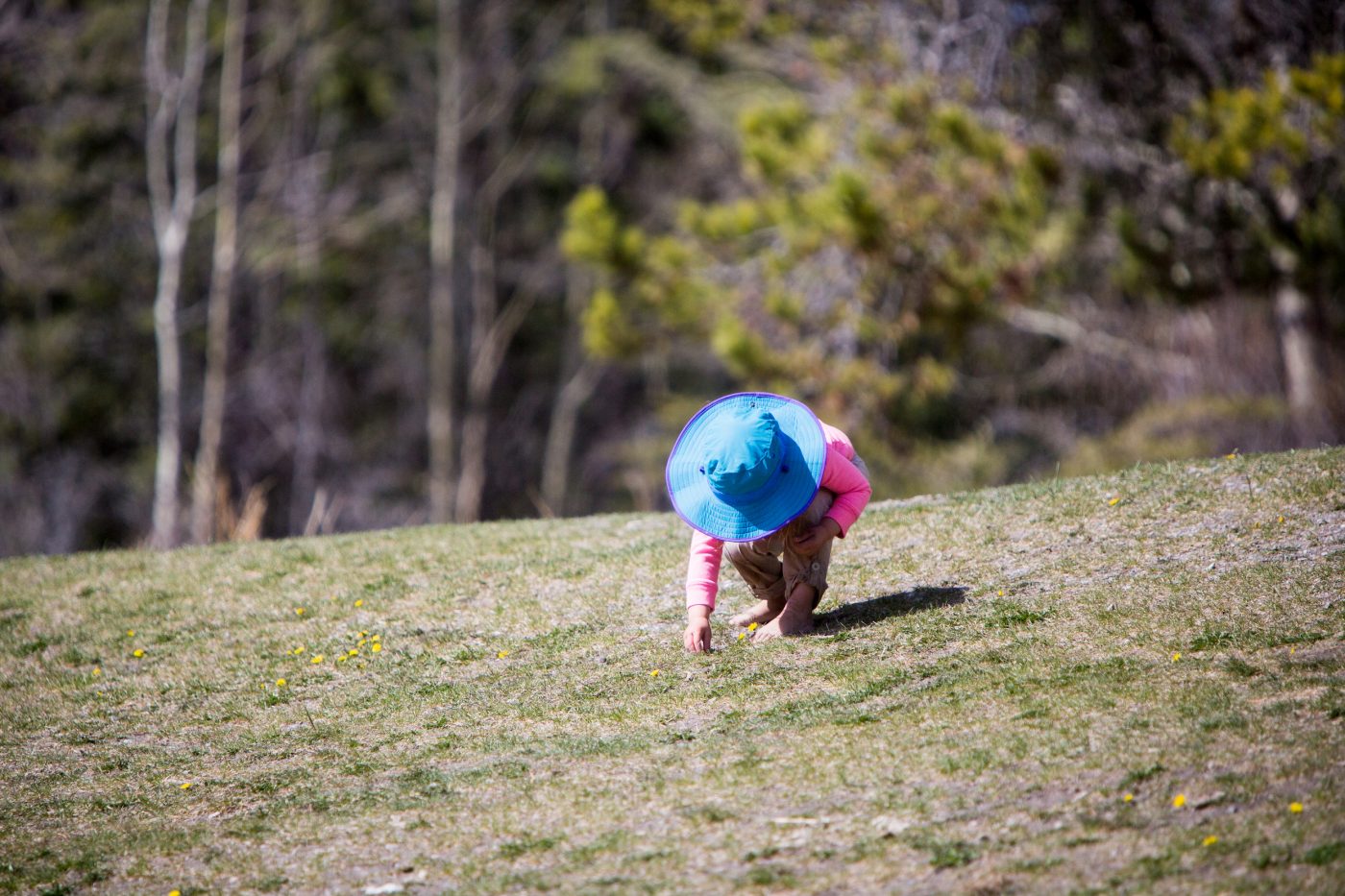 Nurturing the Connection: 5 Tips for Raising Outdoors-Loving Kids ...