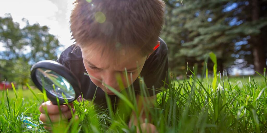 Outdoor Learning Certification Program - Take Me Outside