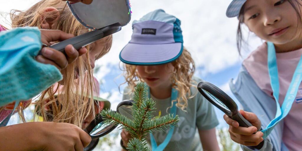Outdoor Learning Certification Program - Take Me Outside